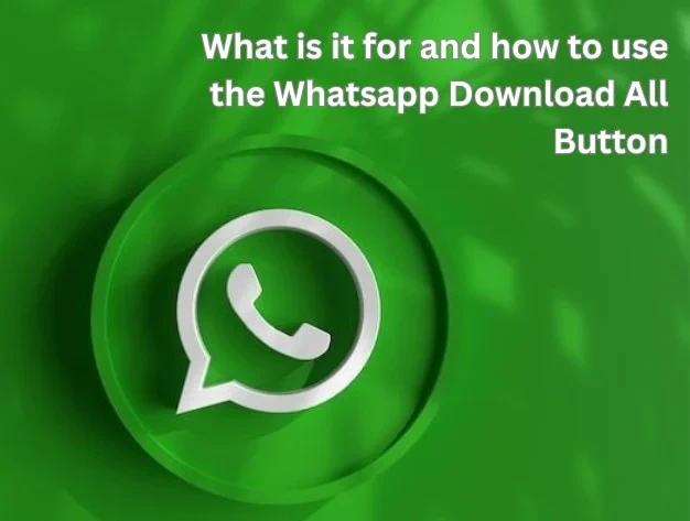 What Is It For And How To Use The Whatsapp Download All Button