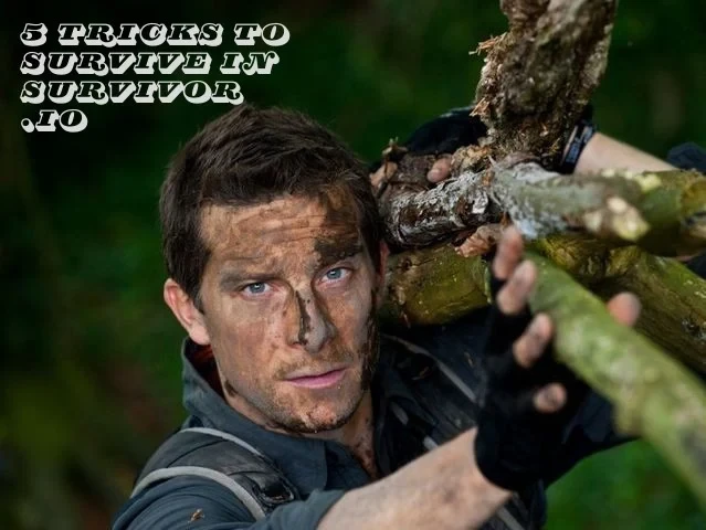 5 Tricks To Survive In Survivor.io