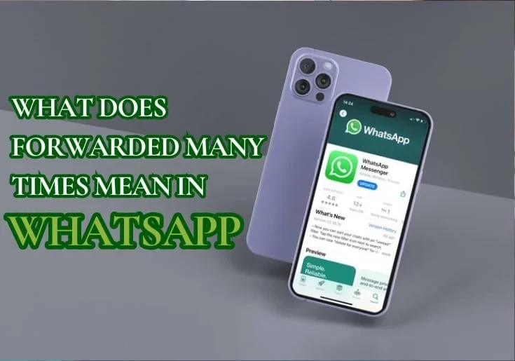 What Does 'forwarded Many Times' Mean In WhatsApp? - Instant Messaging